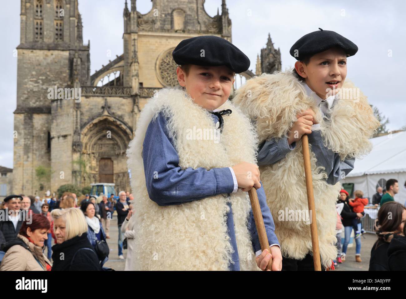 The famous "Bazas Fat Ox Festival" in Gironde in southwestern France ...