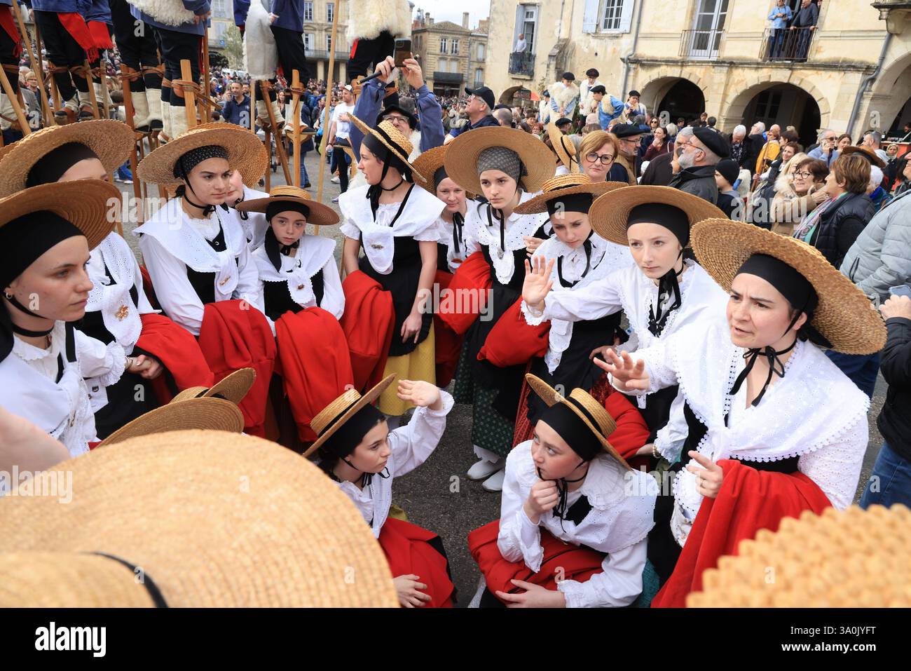 The famous "Bazas Fat Ox Festival" in Gironde in southwestern France ...