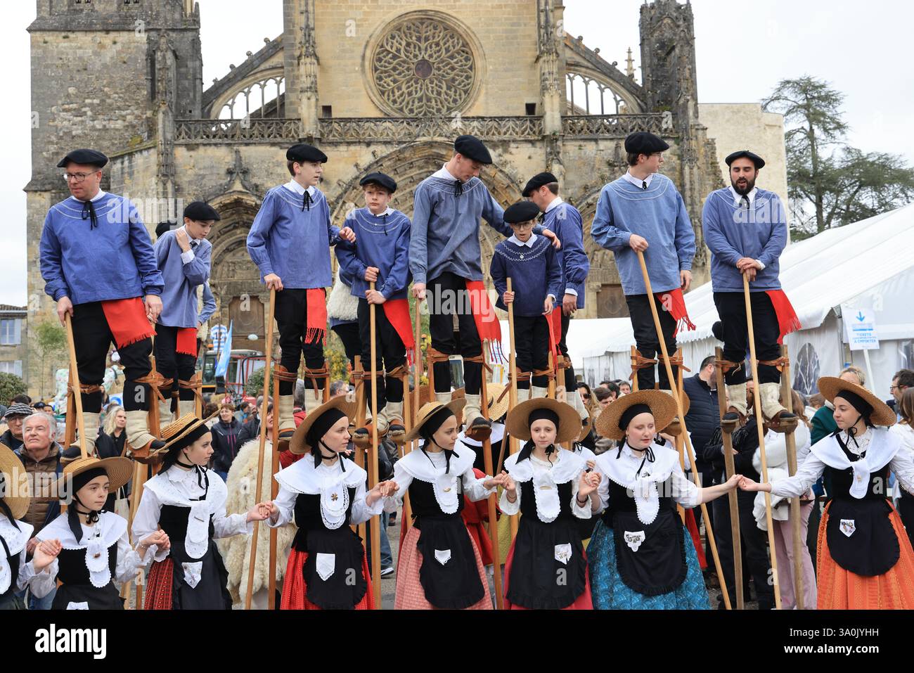 The famous "Bazas Fat Ox Festival" in Gironde in southwestern France ...
