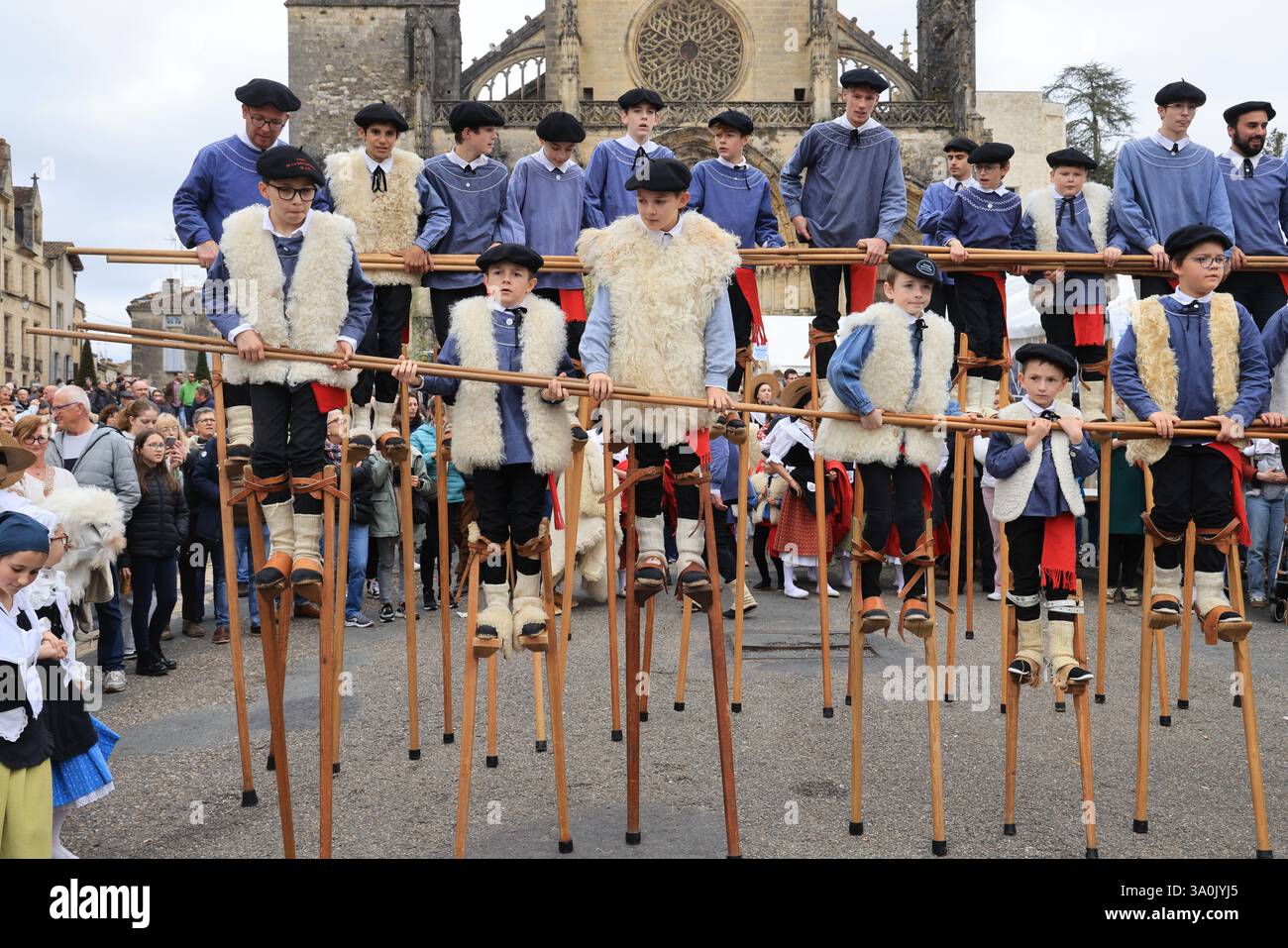 The famous "Bazas Fat Ox Festival" in Gironde in southwestern France ...