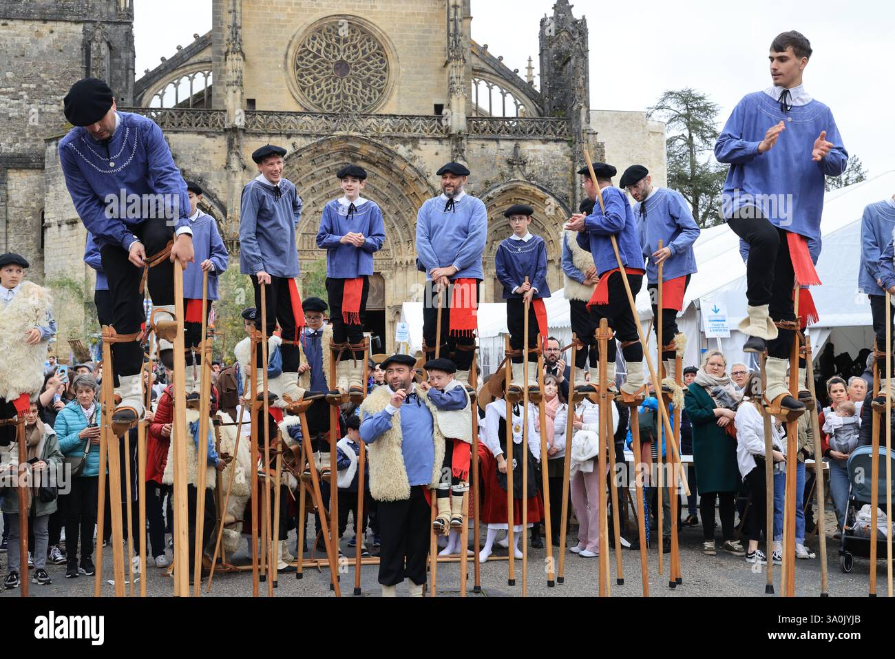 The famous "Bazas Fat Ox Festival" in Gironde in southwestern France ...