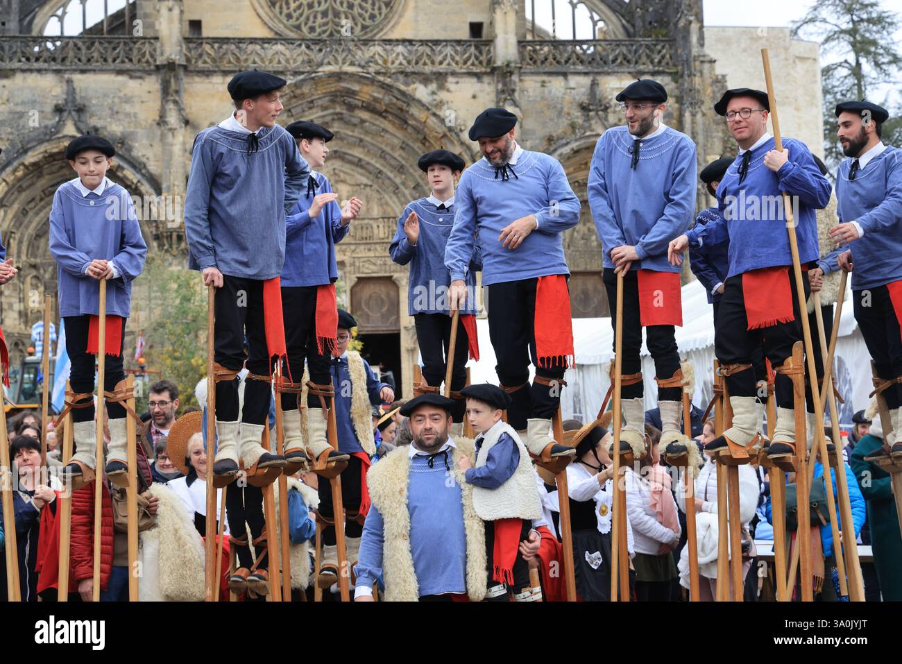 The famous "Bazas Fat Ox Festival" in Gironde in southwestern France ...