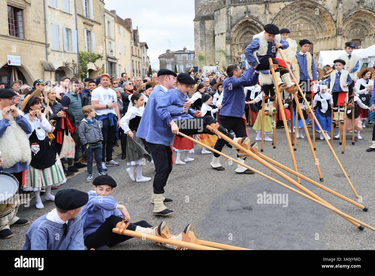 The famous "Bazas Fat Ox Festival" in Gironde in southwestern France ...