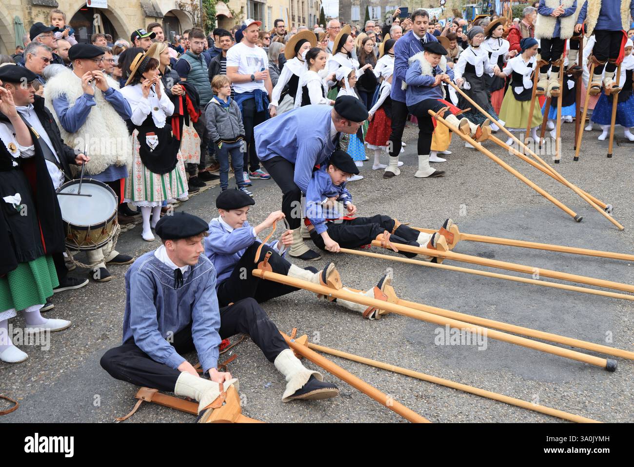 The famous "Bazas Fat Ox Festival" in Gironde in southwestern France ...