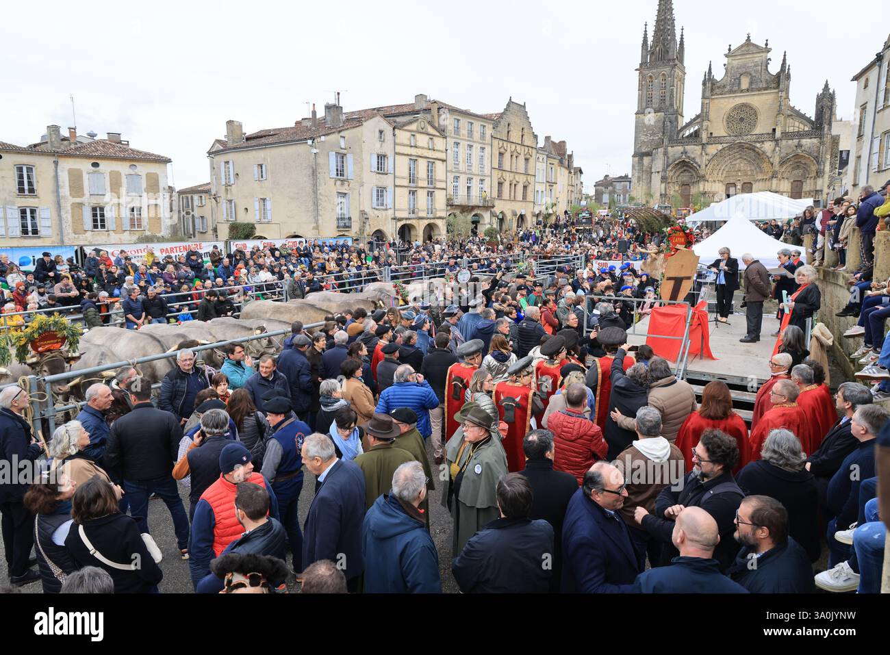The famous "Bazas Fat Ox Festival" in Gironde in southwestern France ...