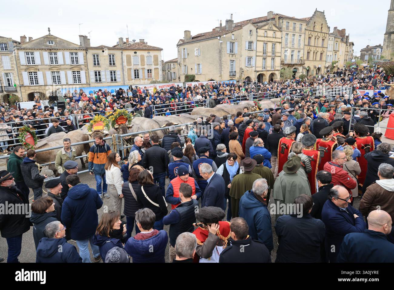 The famous "Bazas Fat Ox Festival" in Gironde in southwestern France ...