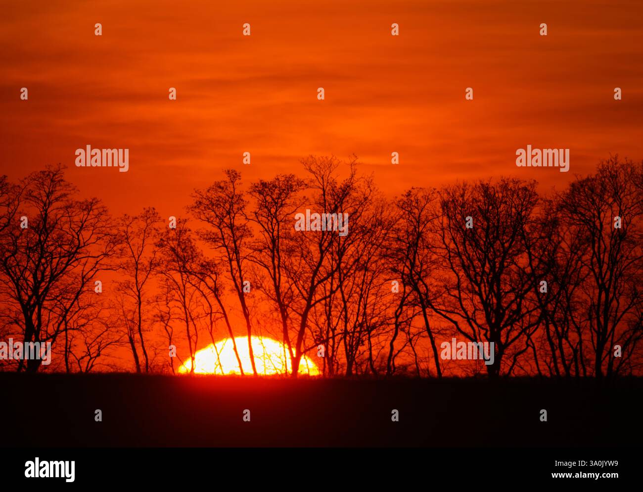 04 March 2025, Brandenburg, Lietzen: The sunset over the landscape in ...