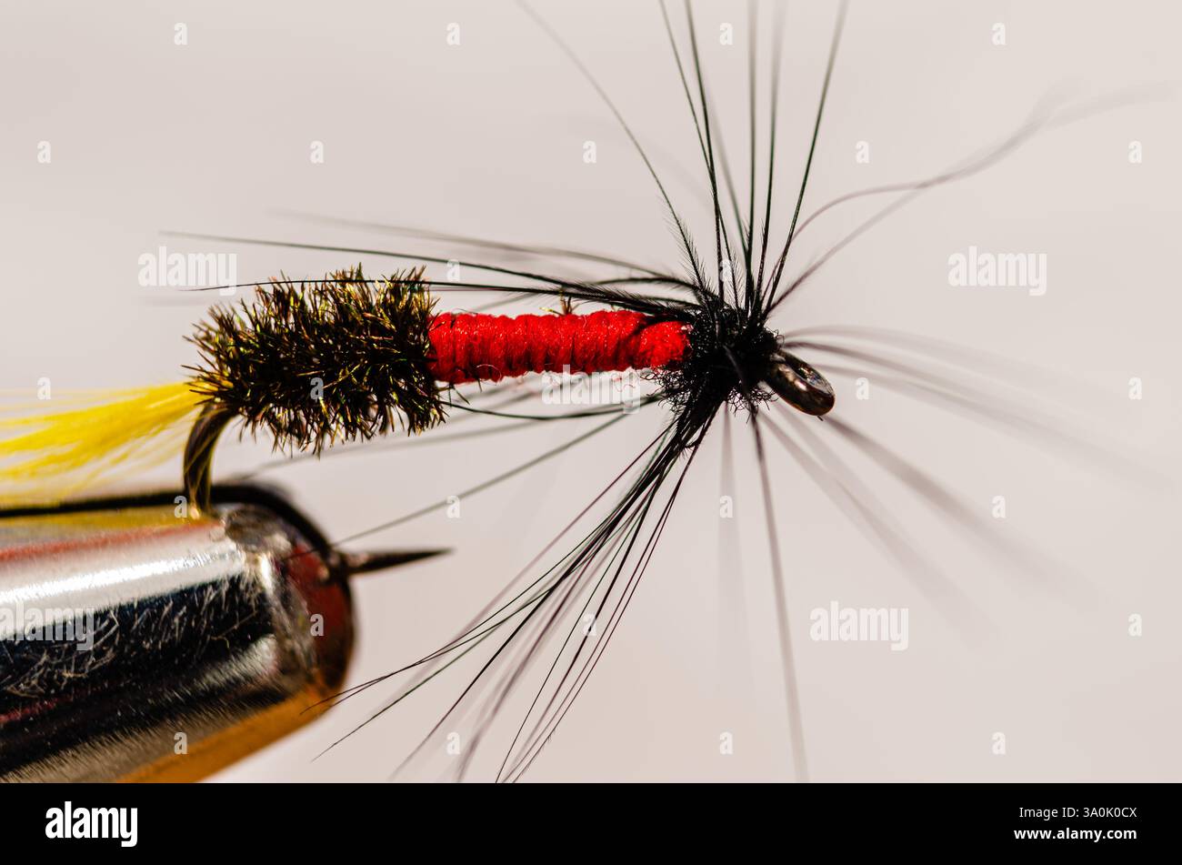 Macro side view of a single Royal Coachman trout fly in a tying vise ...