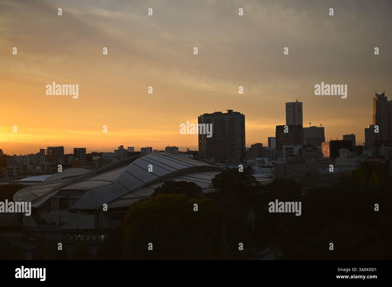 Sunset cityscape with scenic view of Shinjuku City in Tokyo, Japan ...