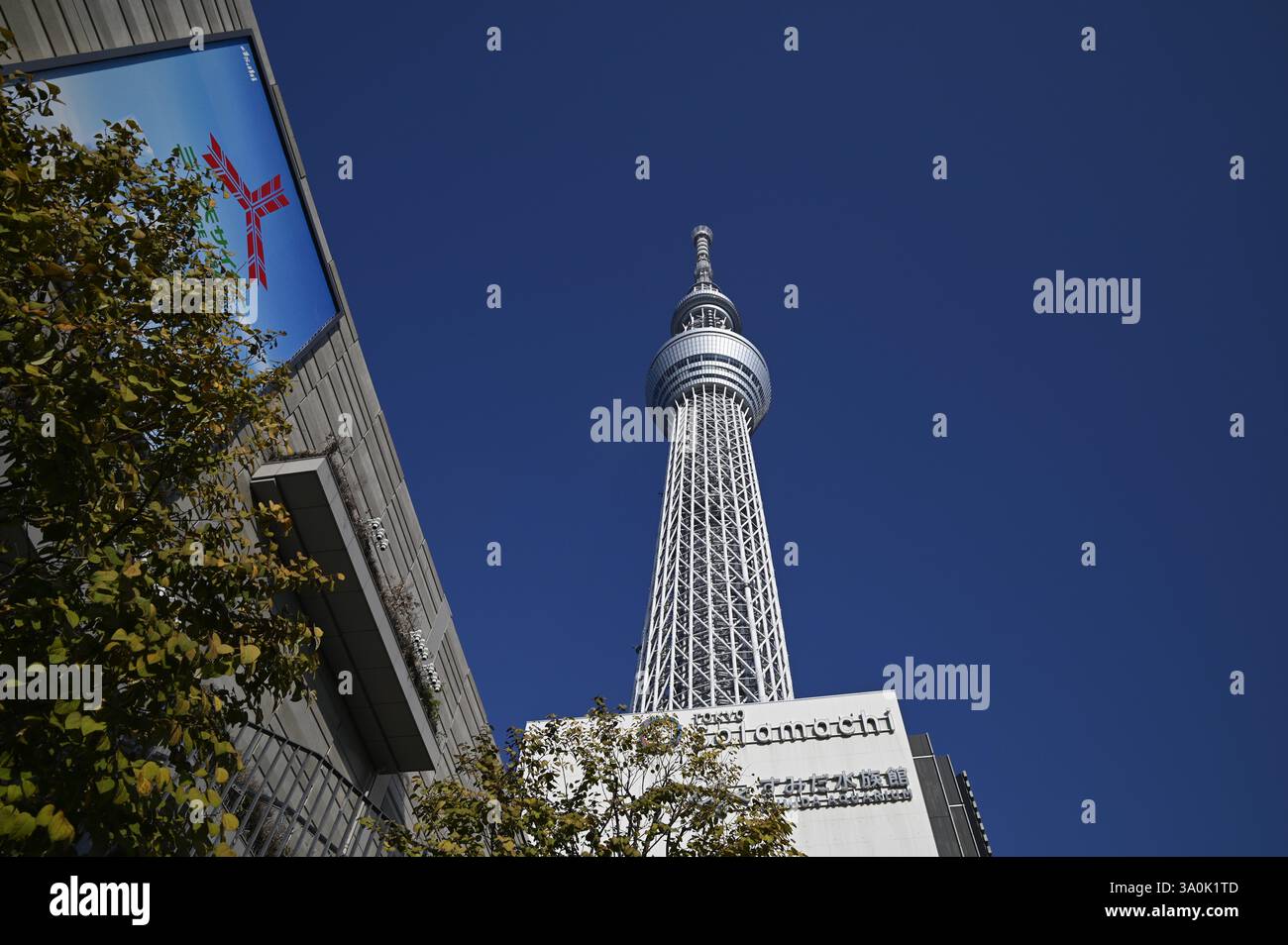 Landscape with scenic view of Tōkyō Sukaitsuri the broadcasting and ...