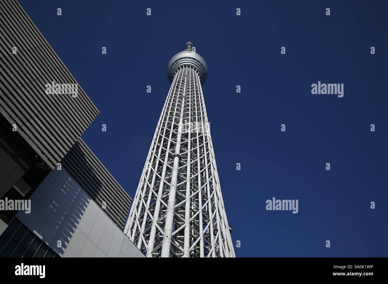 Landscape with scenic view of Tōkyō Sukaitsuri the broadcasting and observation Tower known as ...