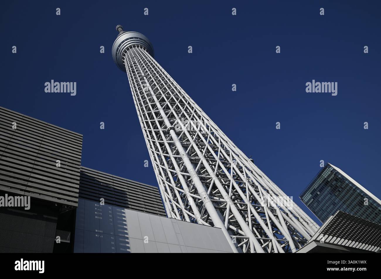 Landscape with scenic view of Tōkyō Sukaitsuri the broadcasting and observation Tower known as ...