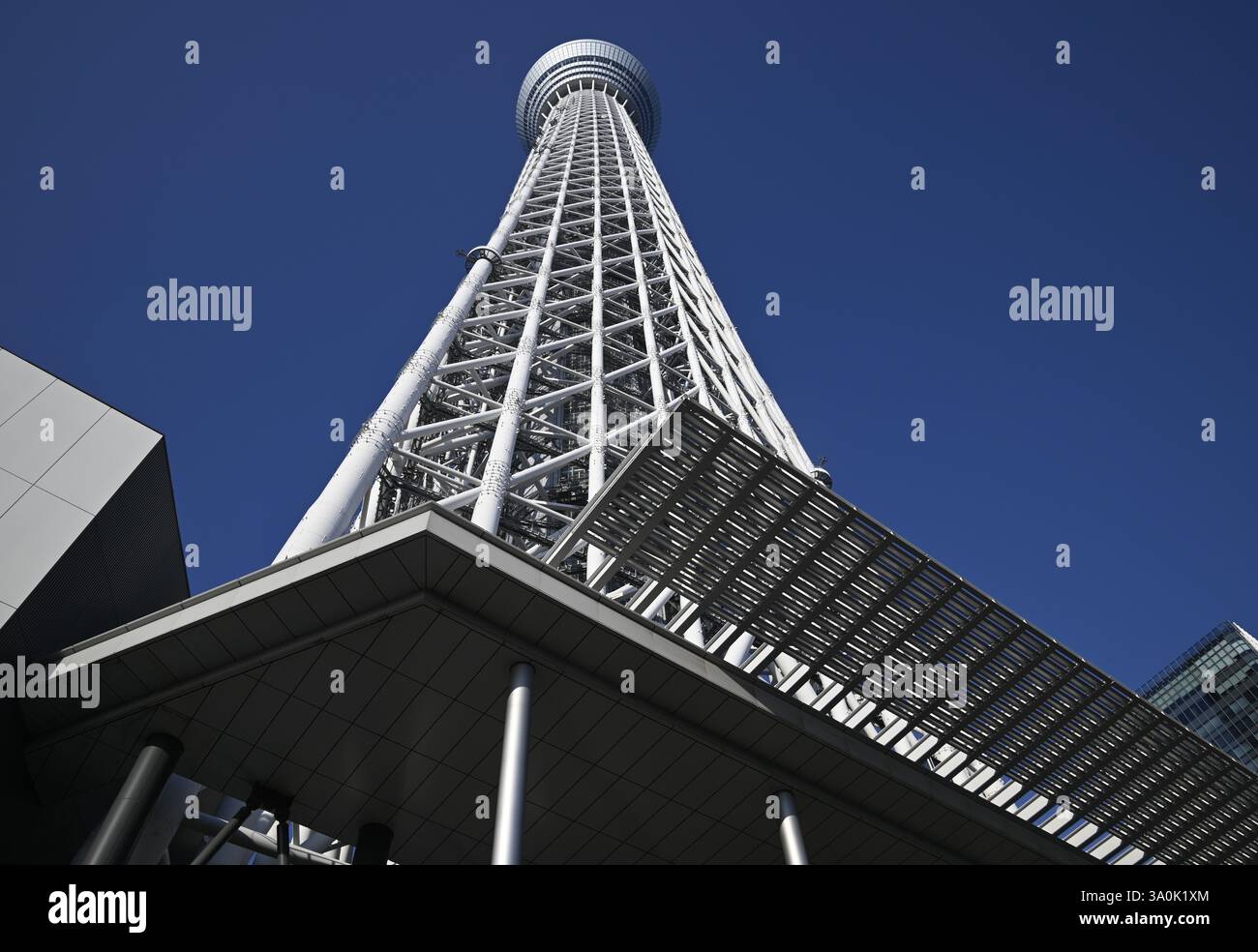 Landscape with scenic view of Tōkyō Sukaitsuri the broadcasting and observation Tower known as ...