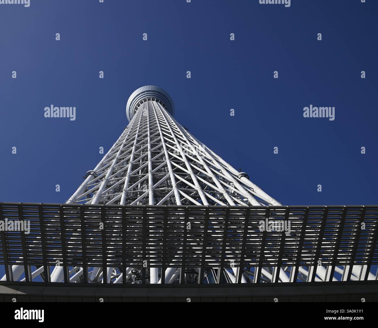 Landscape with scenic view of Tōkyō Sukaitsuri the broadcasting and observation Tower known as ...