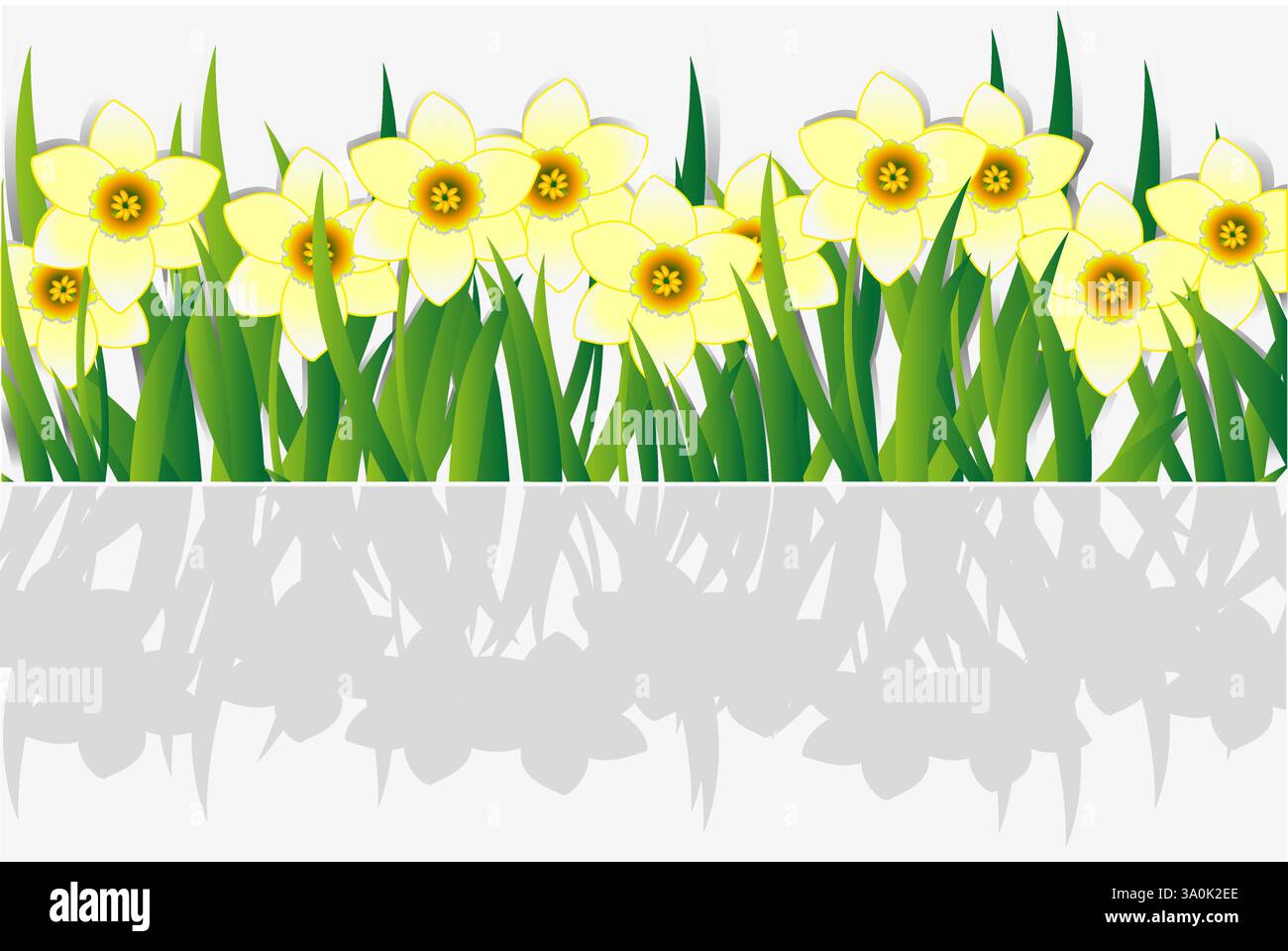 Yellow daffodils blooming Stock Vector Images - Alamy