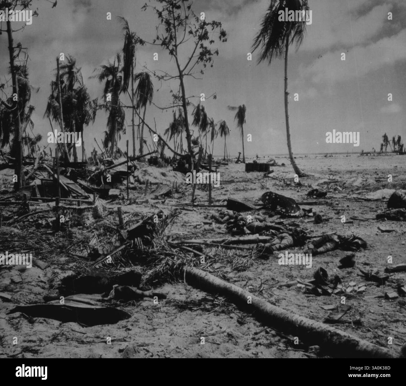 U.S. Marines Wreck Jap "Gibraltar" of Tarawa -- A liter of dead Japs ...