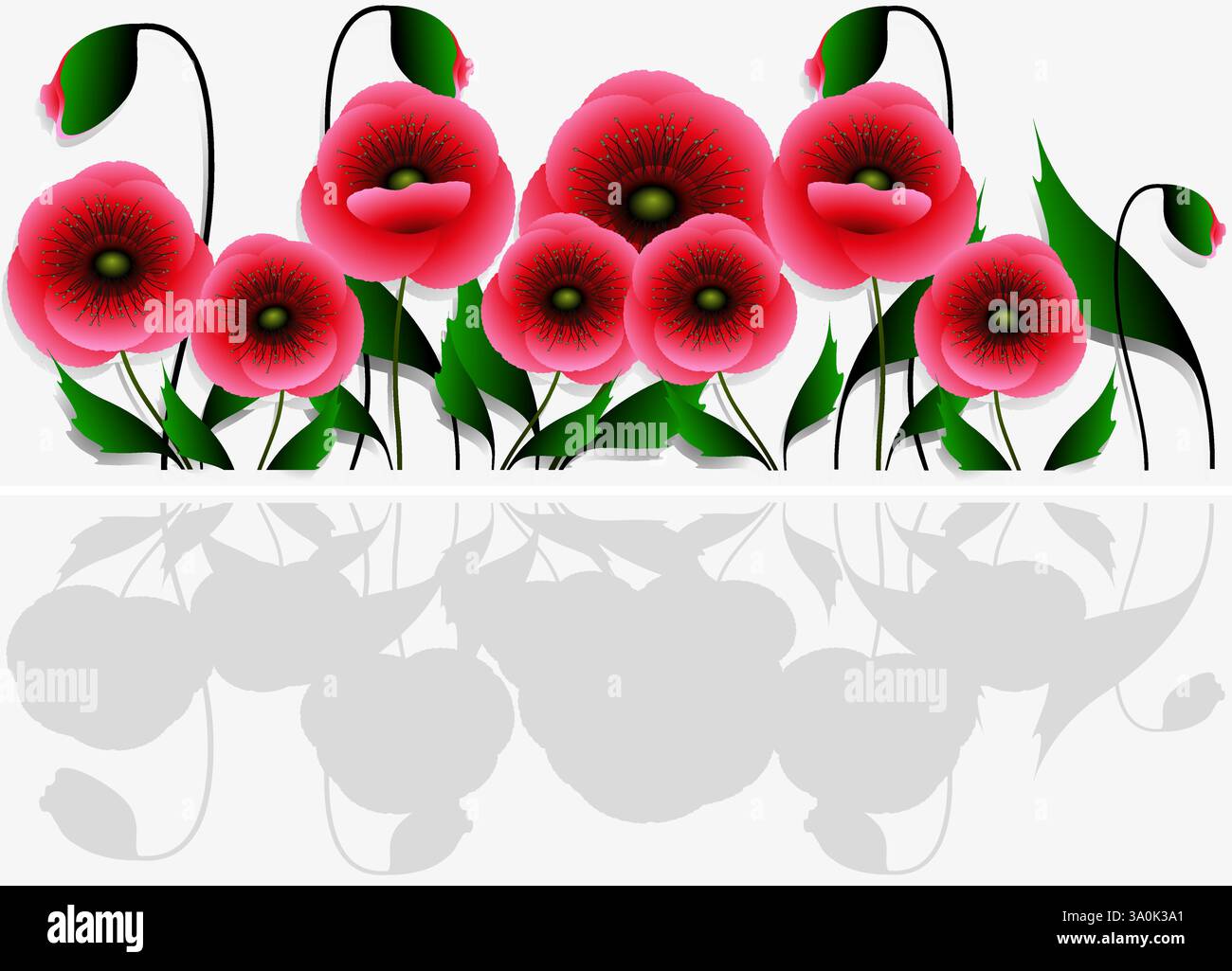 Poppies wildflowers nature Stock Vector Images - Alamy