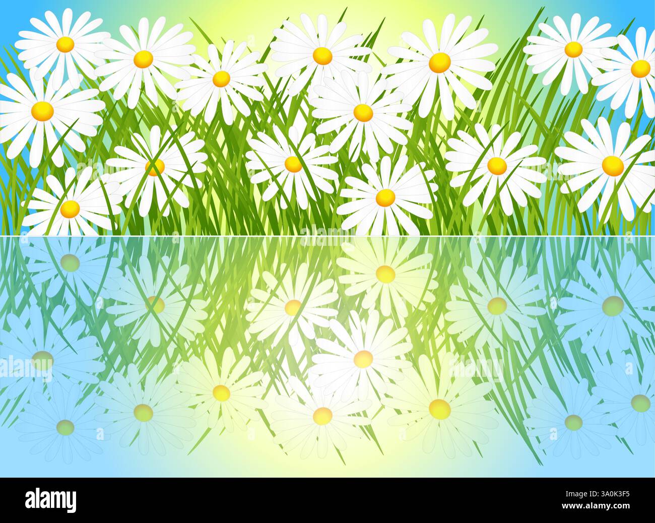 Daisies and lawn Stock Vector Images - Alamy