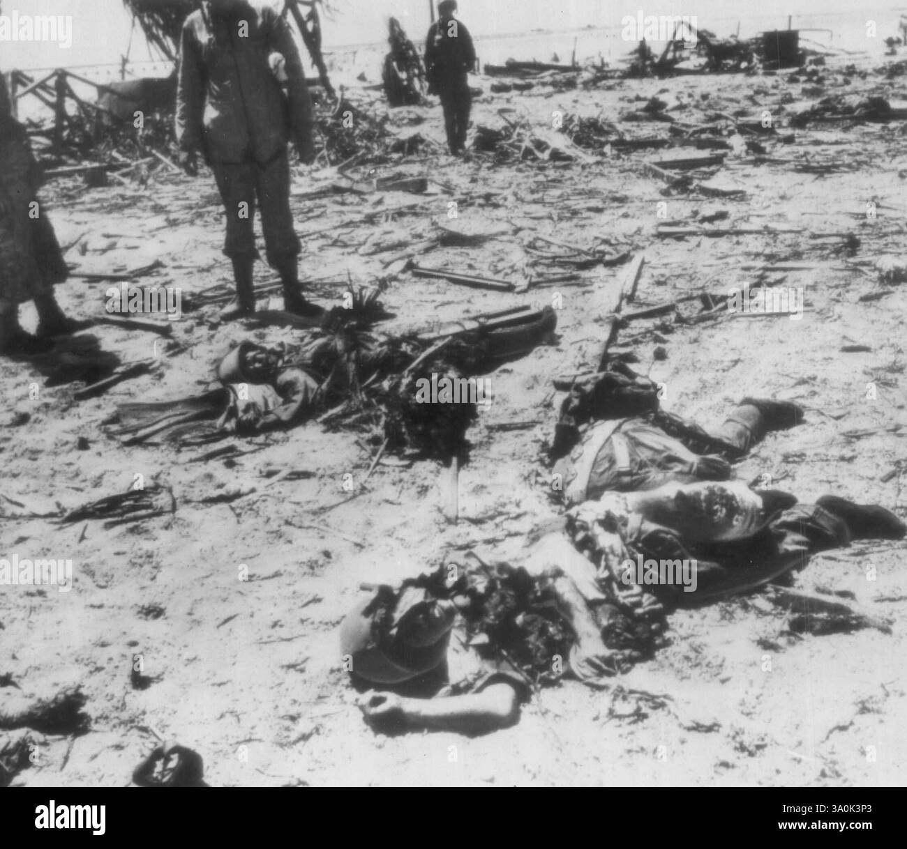 Crack Japanese Troops Slain At Tarawa -- These Japanese, killed in the ...
