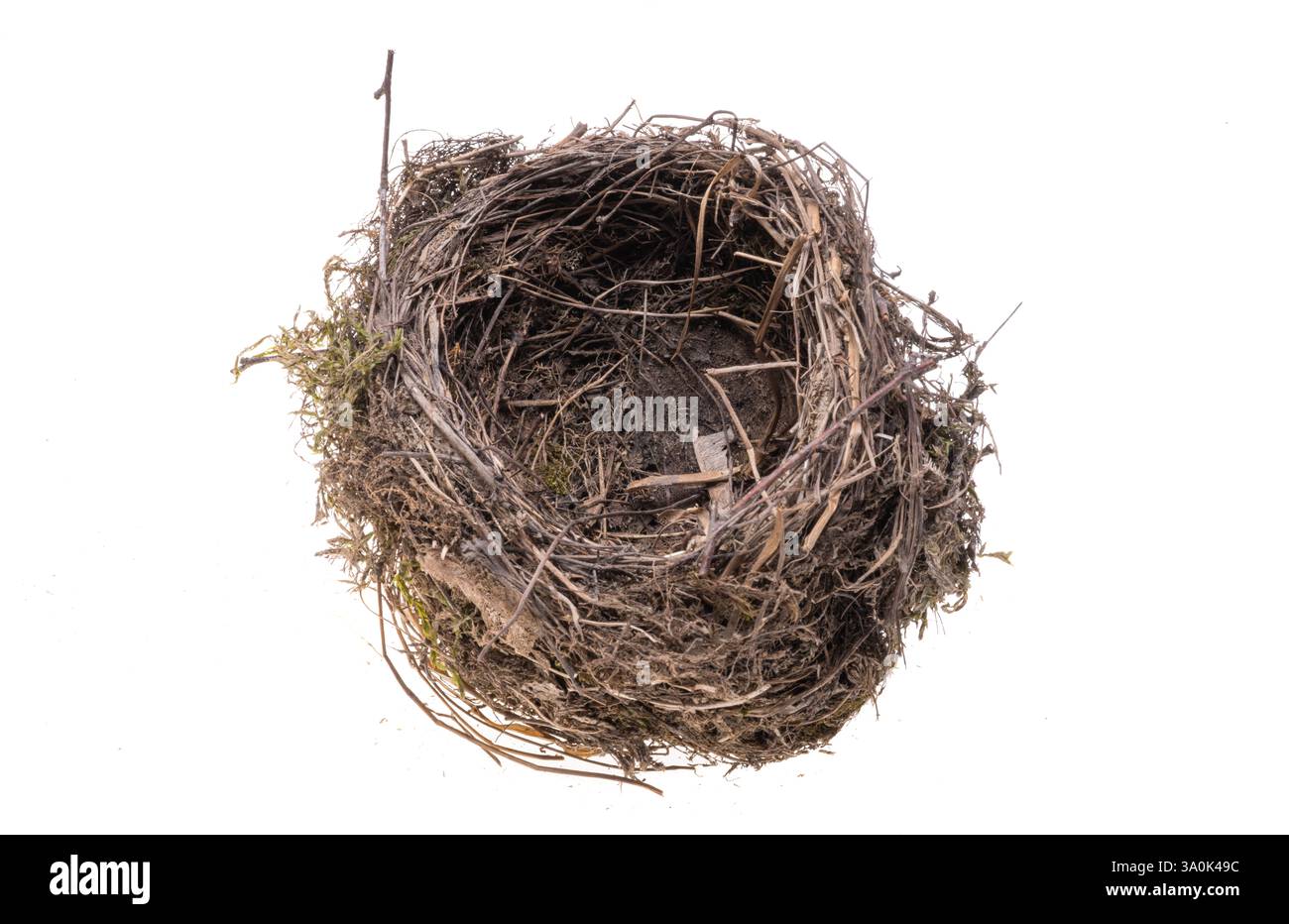 Bird and buildings Cut Out Stock Images & Pictures - Alamy