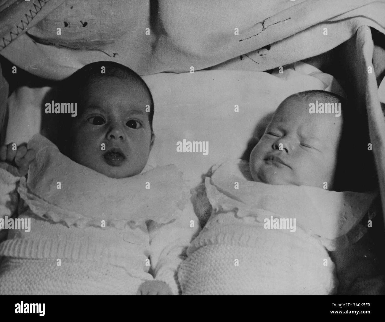 The Rossellini Twins: Photo shows: A Close-Up of the Twins. Ingrid is ...