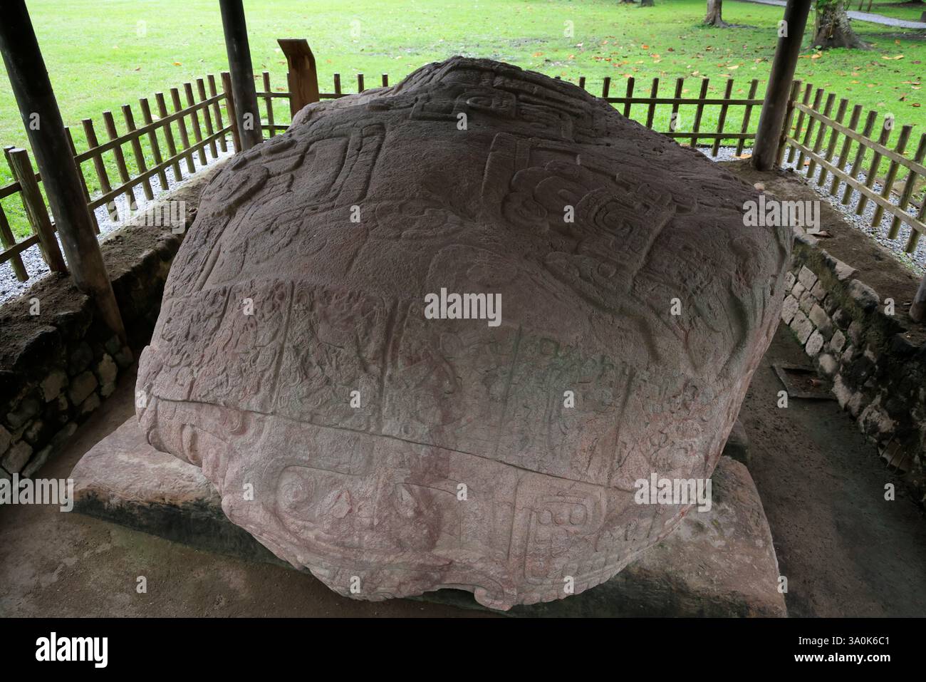 Mayan Stele at Quirigua Site, Guatemala Stock Photo - Alamy