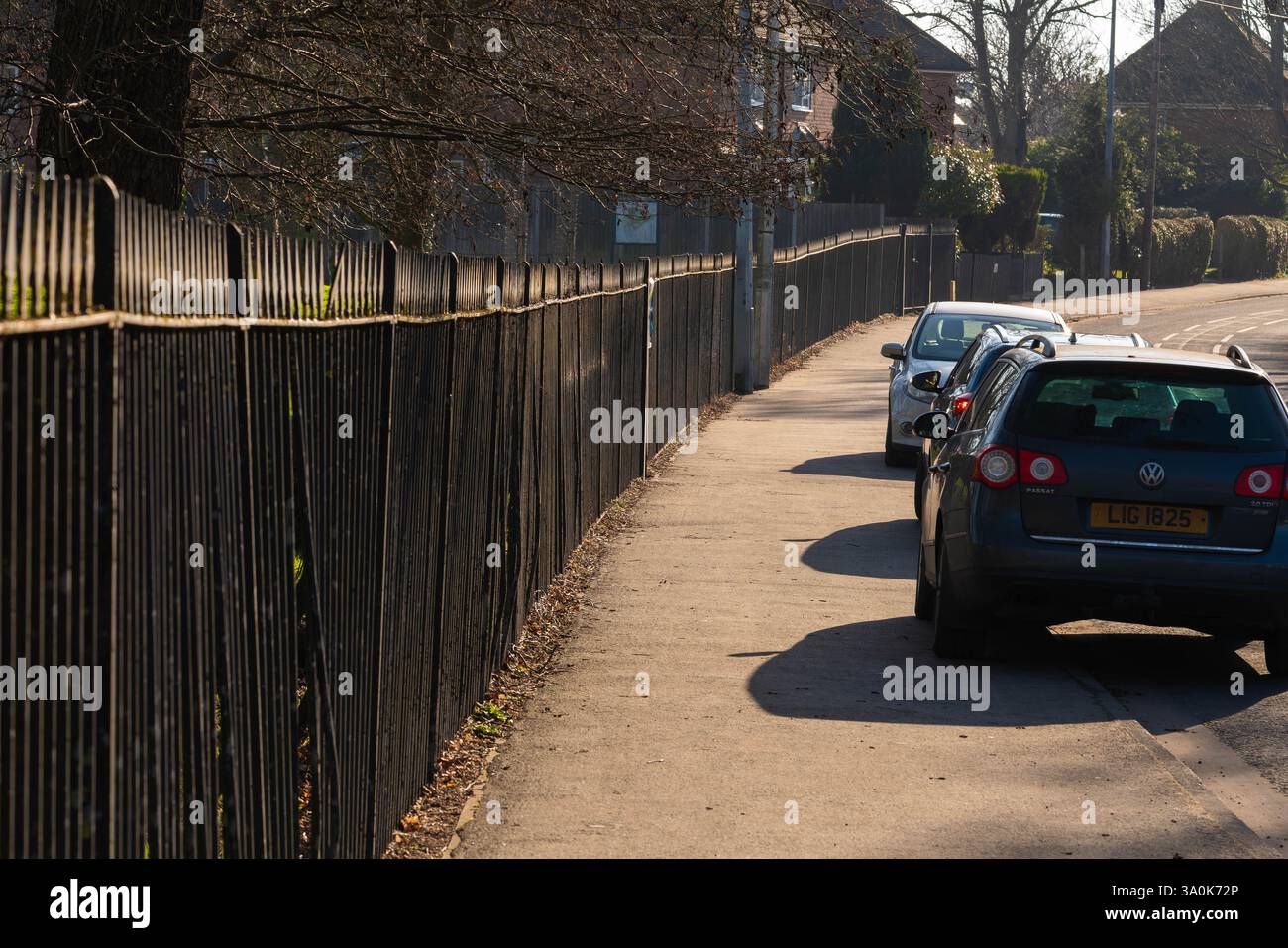 Iron railings, barriers, ornate, architectural, features, wrought iron ...