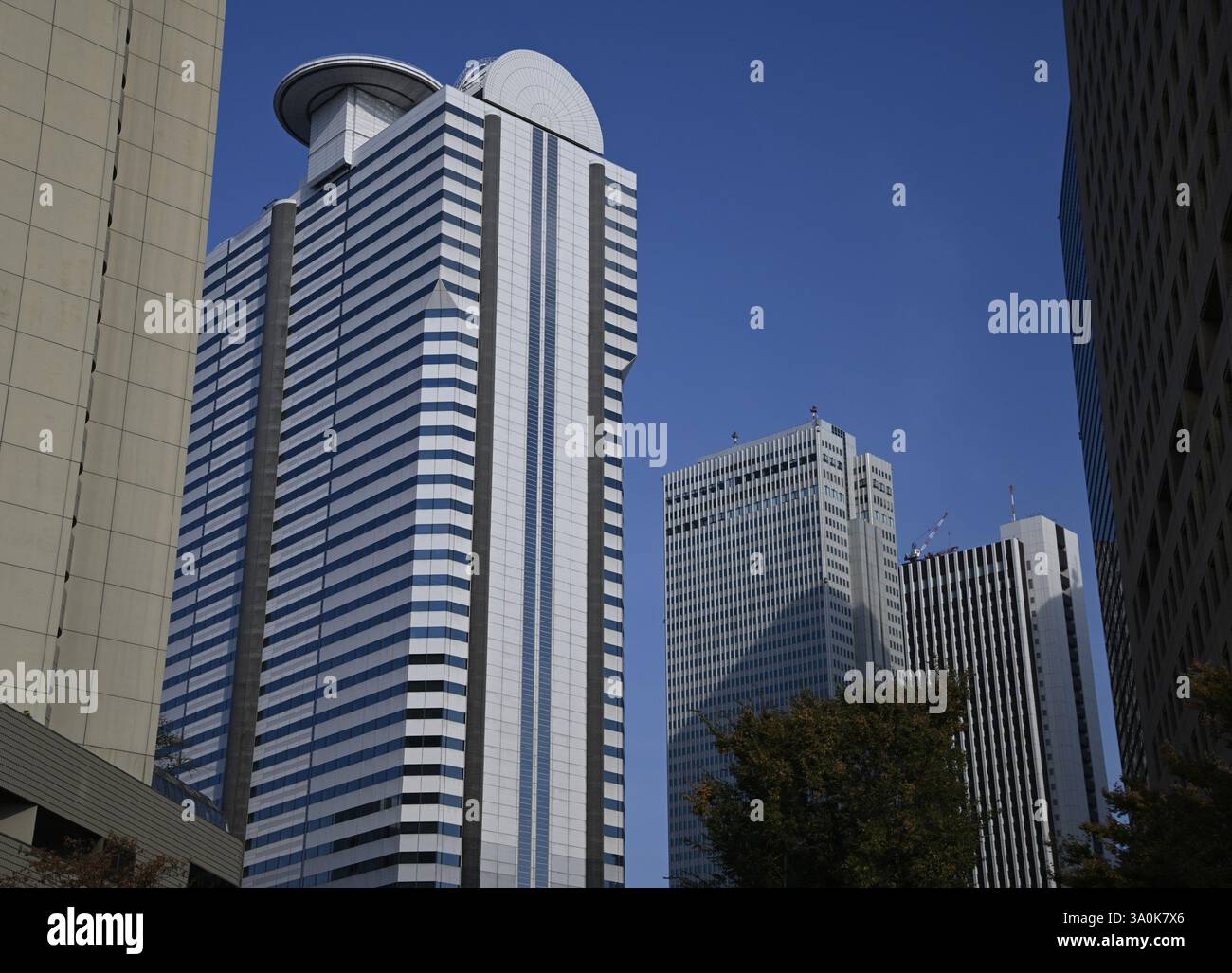 Tocho dori hi-res stock photography and images - Alamy