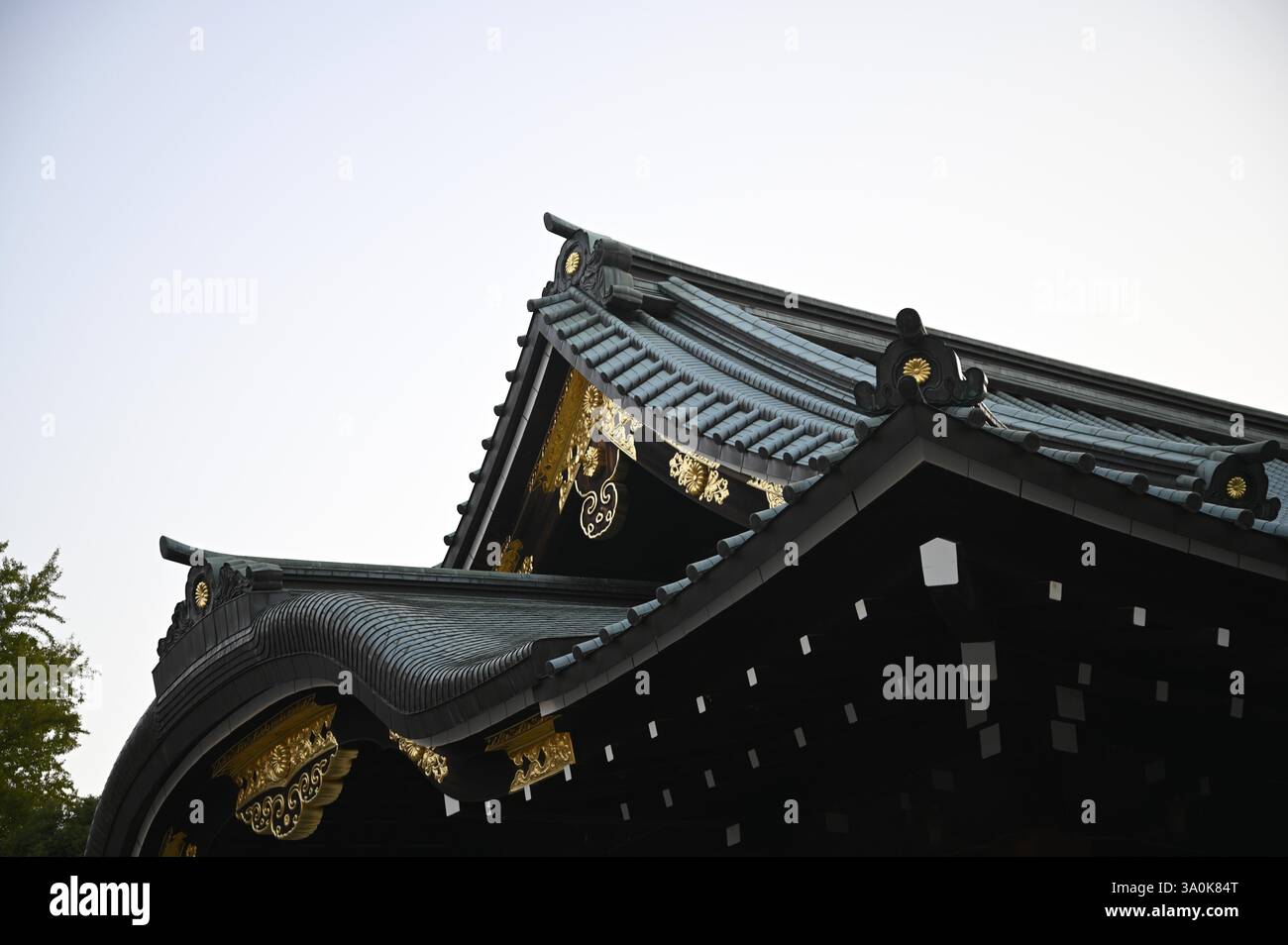 Landscape with scenic Haiden rooftop and exterior view of Yasukuni ...