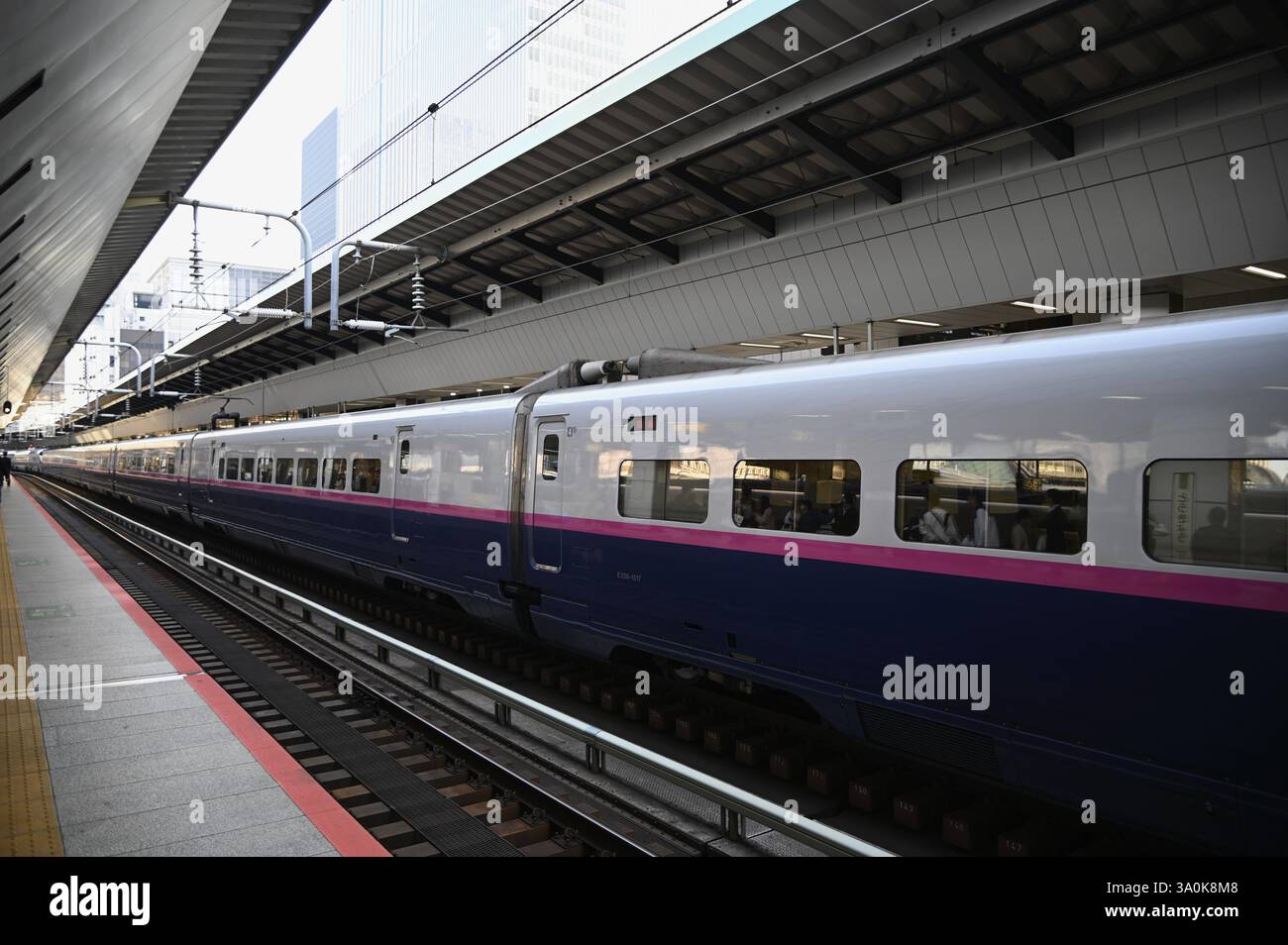 Scenic view of the bullet train Shinkansen E2 series operated by JR ...