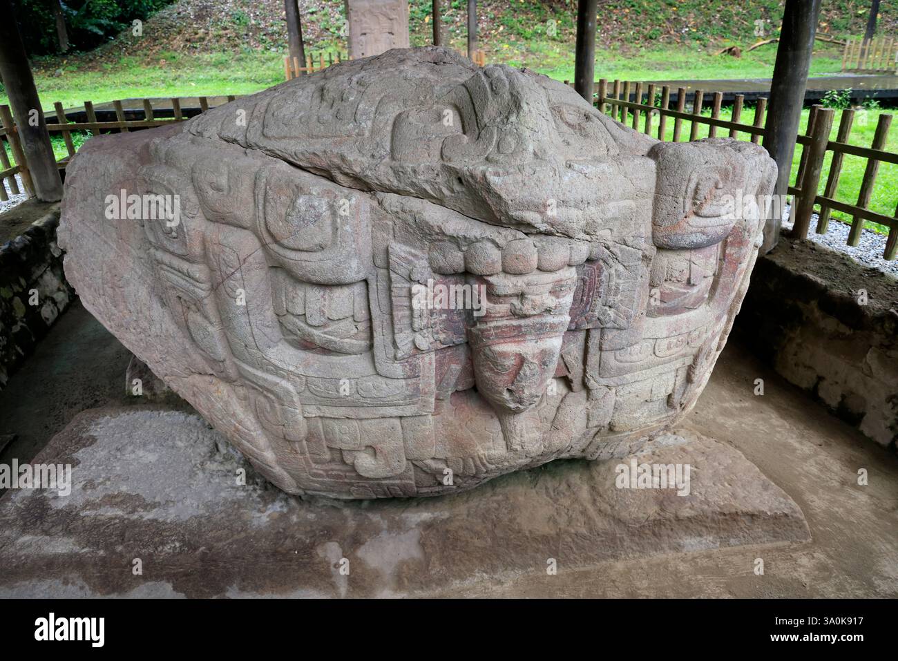 Mayan Stele at Quirigua Site, Guatemala Stock Photo - Alamy