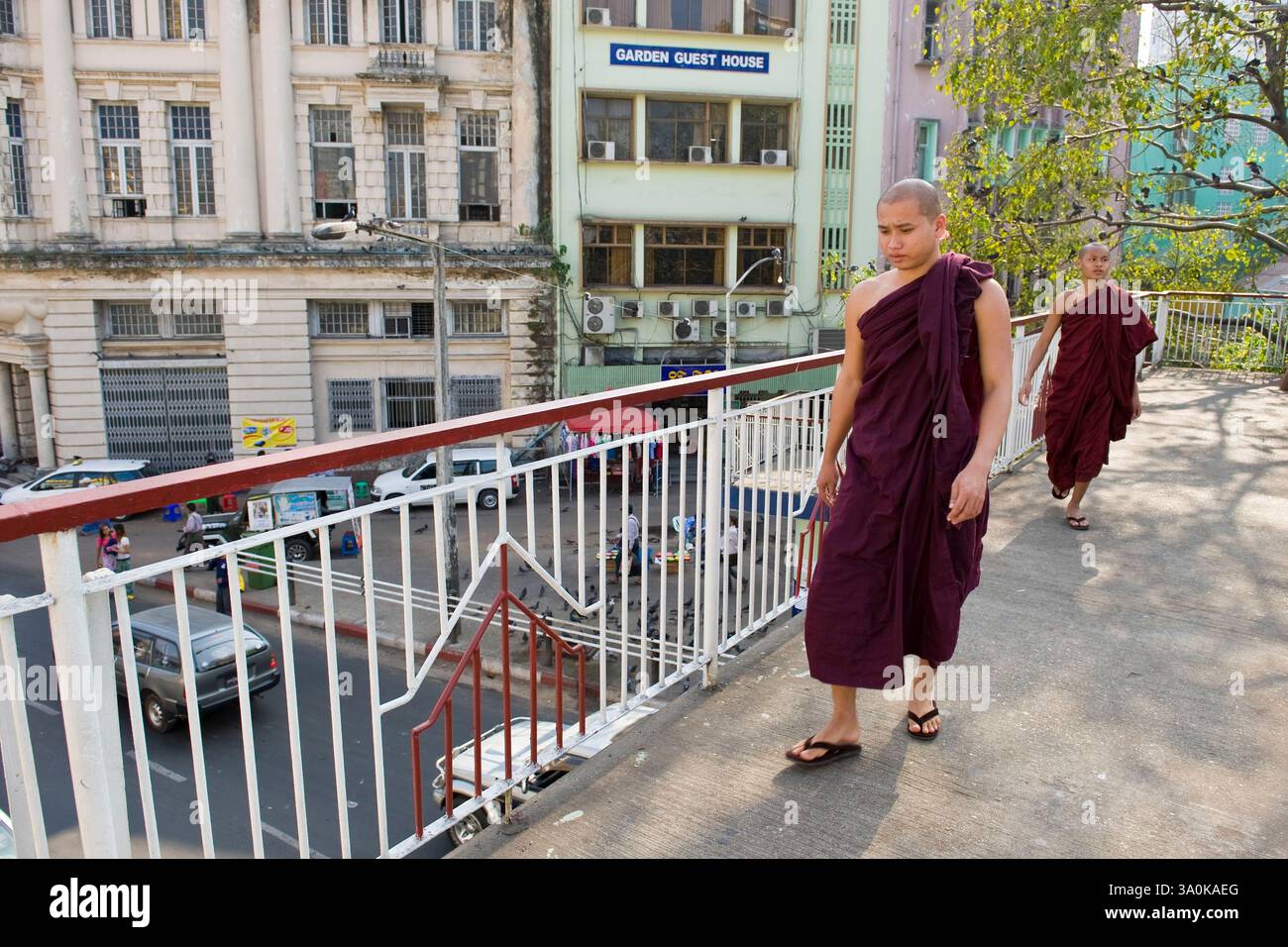 Myanmar, Yangon, monks Stock Photo - Alamy