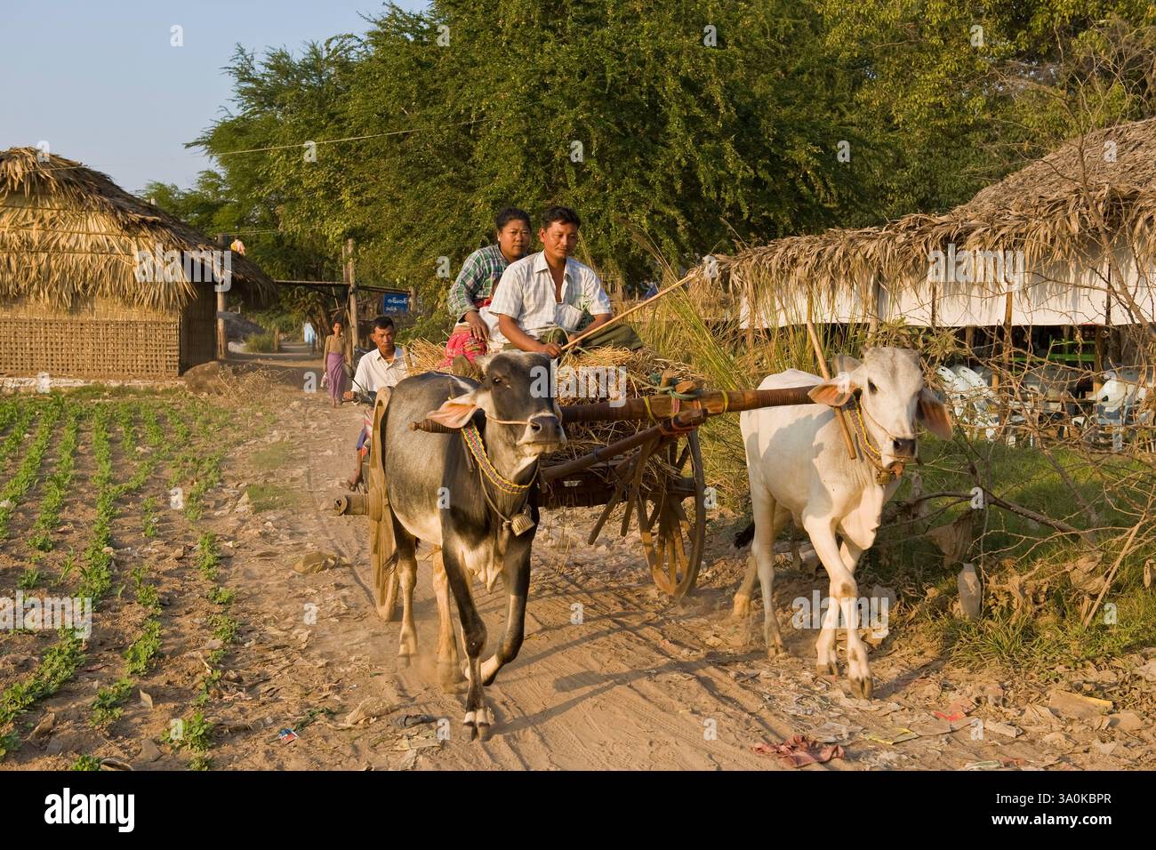 Myanmar, Amarapura, daily life Stock Photo - Alamy