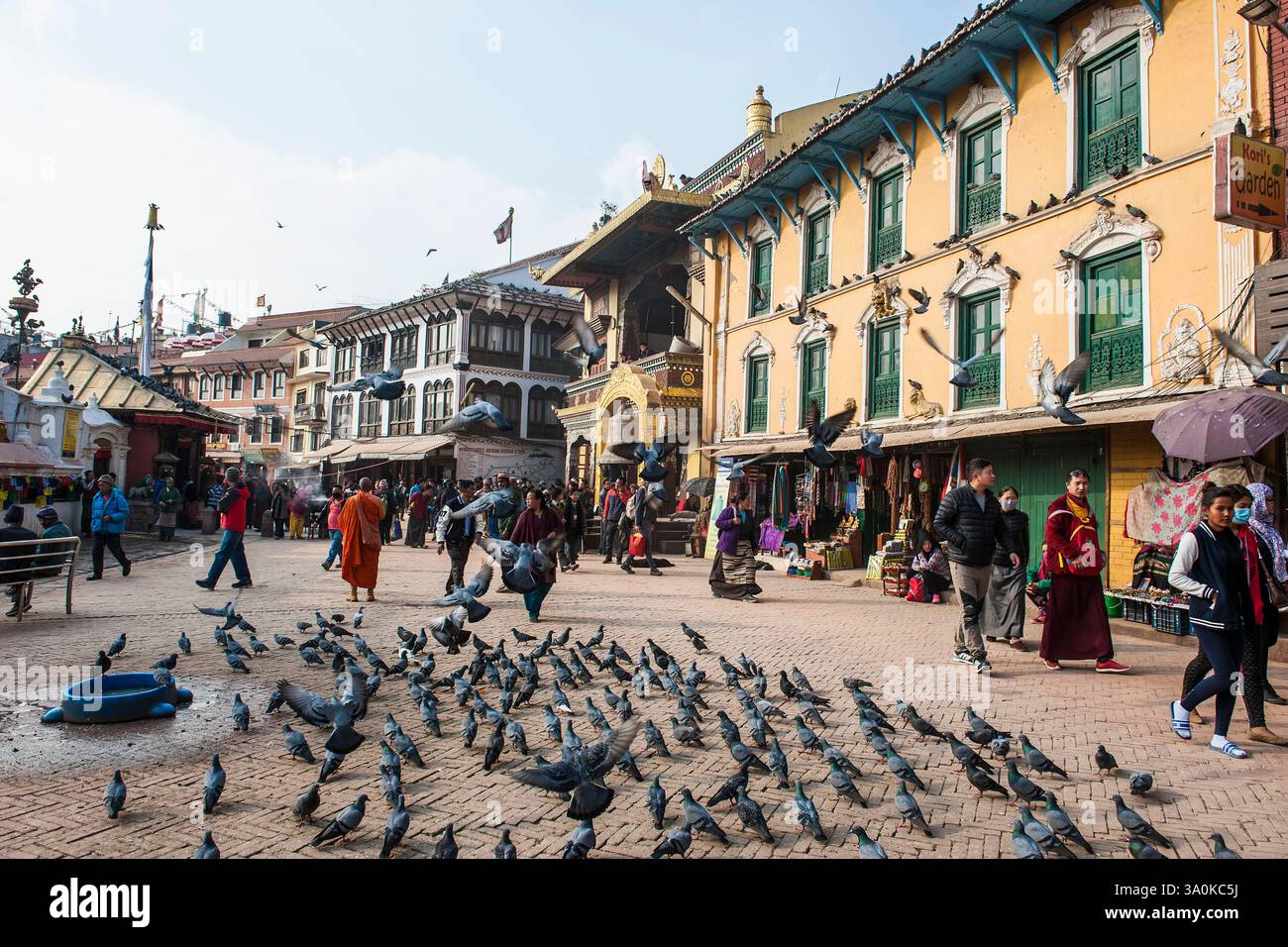 Nepal, Bouddhnath, landscape Stock Photo - Alamy