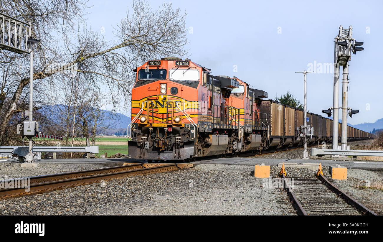 Conway, WA, USA - February 26, 2025; BNSF coal freight train with two orange diesel locomotives ...