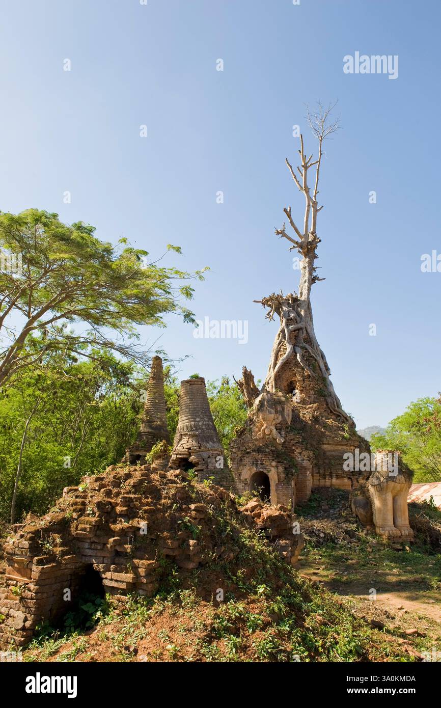 Myanmar, Inle lake, Inlay Shwe Inn Tain pagoda Stock Photo - Alamy