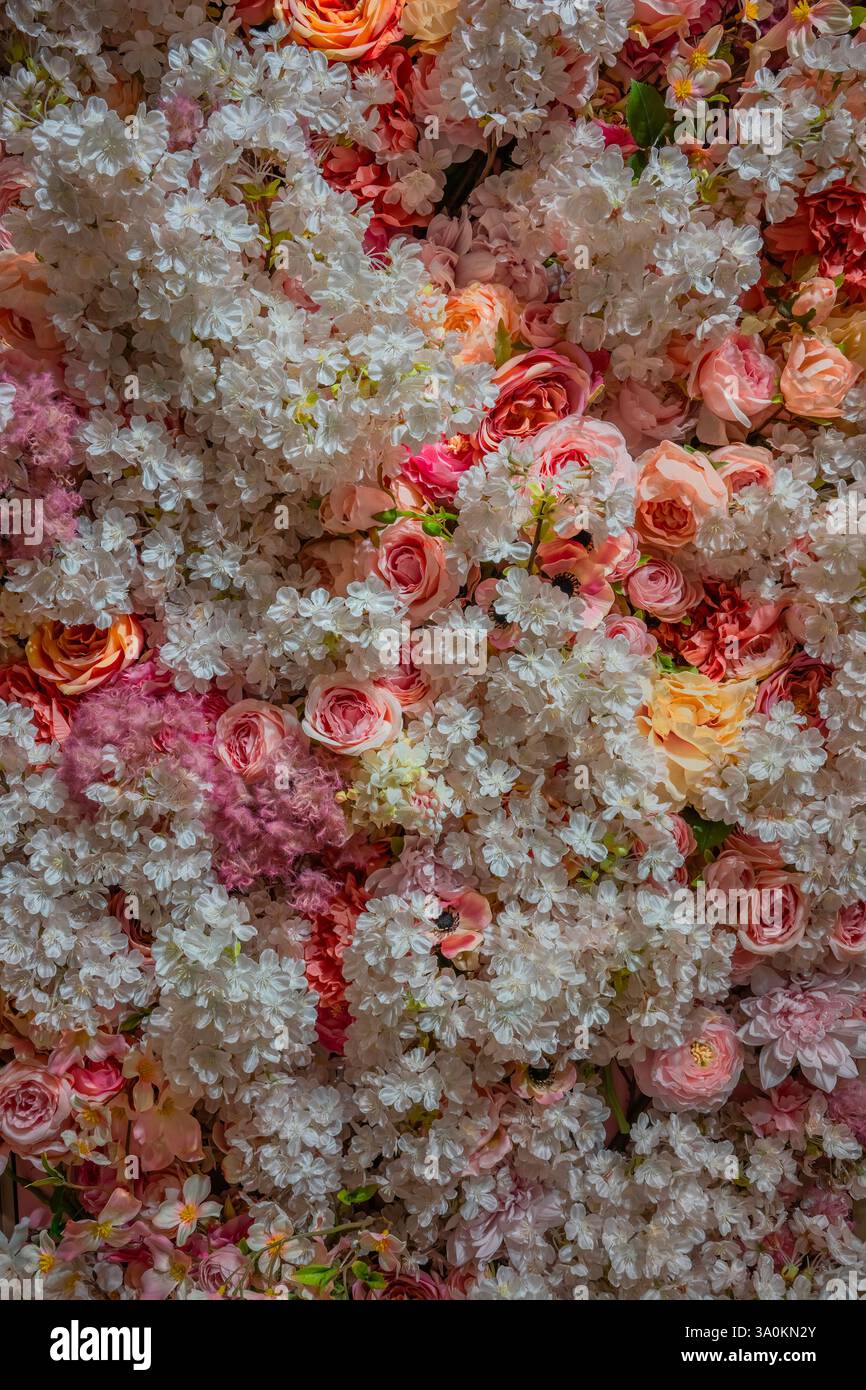 Dense cluster delicate white flowers hi-res stock photography and ...