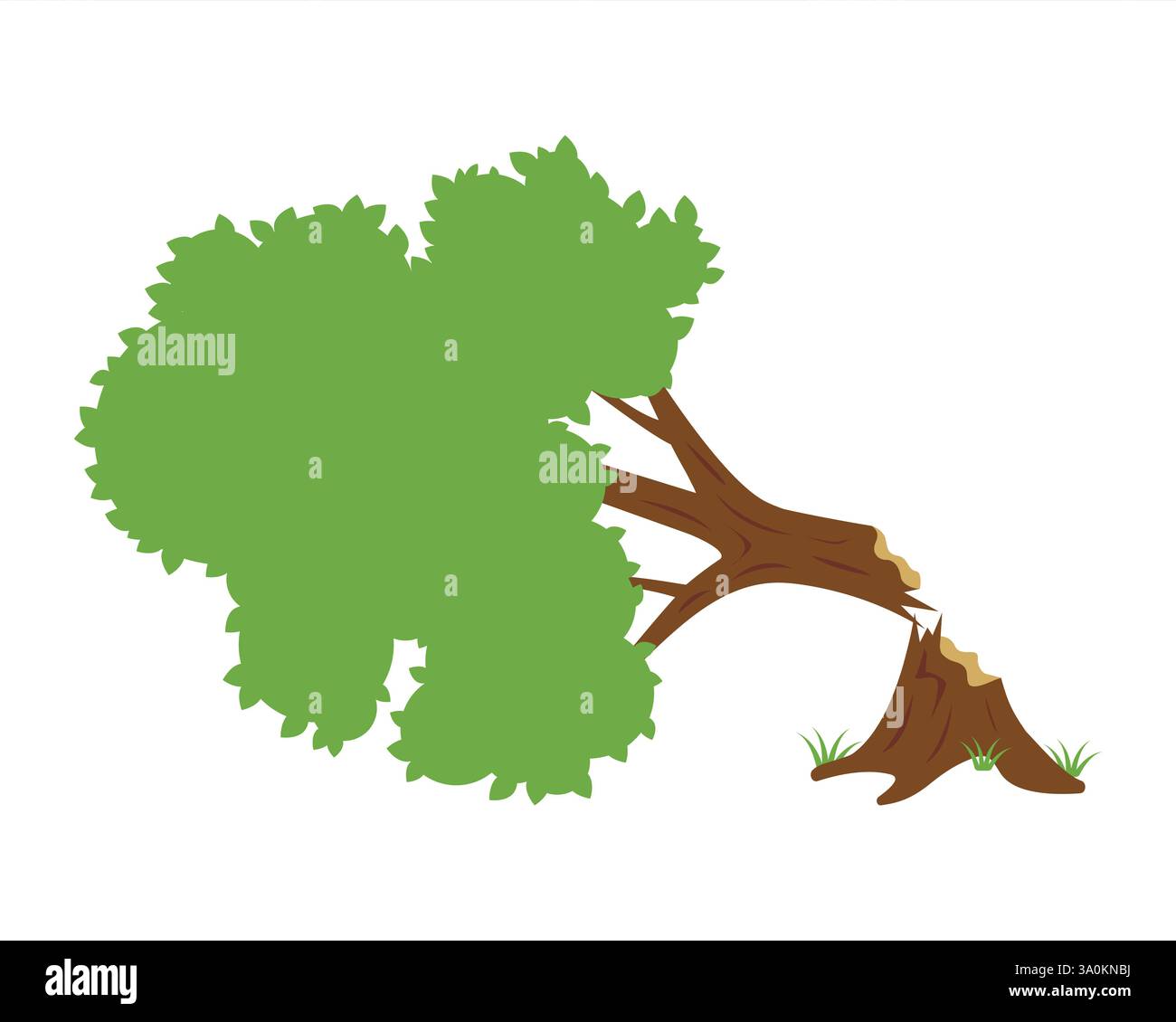 broken tree fell from strong wind. hurricane causes damage Stock Vector ...