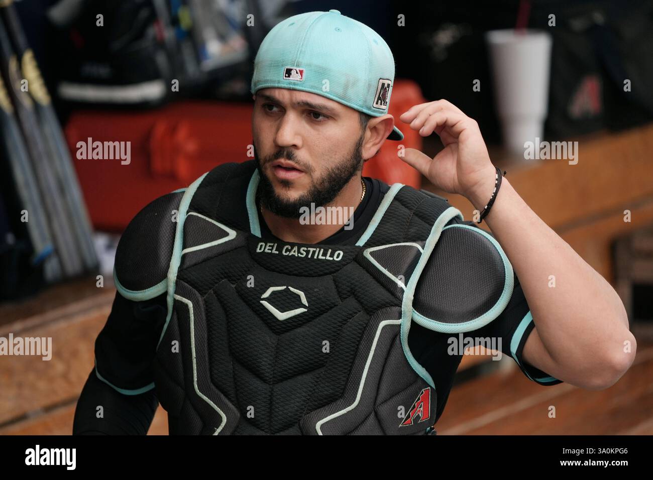 Arizona Diamondbacks catcher Adrian Del Castillo walks through the dugout prior to a spring ...