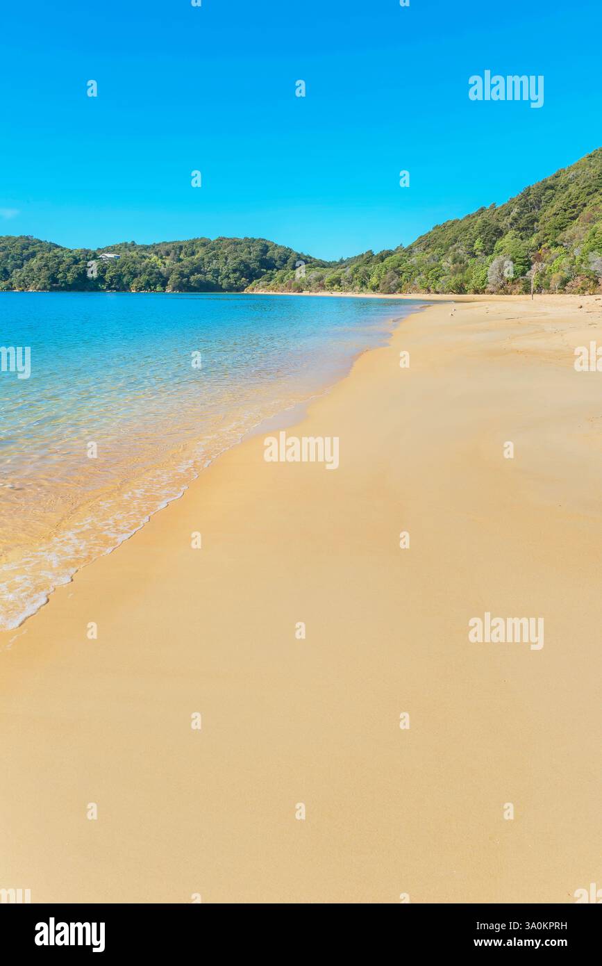 Sandy beach, Abel Tasman National Park, Nelson Region, South Island, New Zealand Stock Photo - Alamy