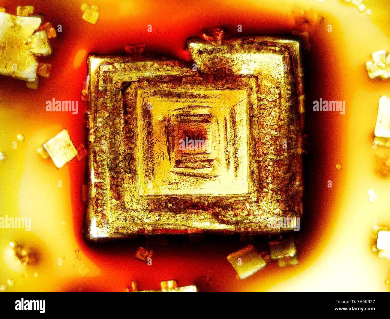 A microscopic salt crystal precipitated from olive brine with olive ...