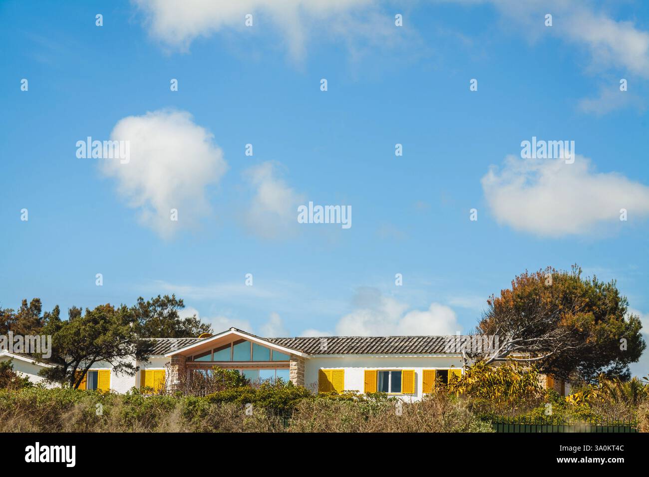 A bright, cozy house with yellow shutters nestled among trees and ...