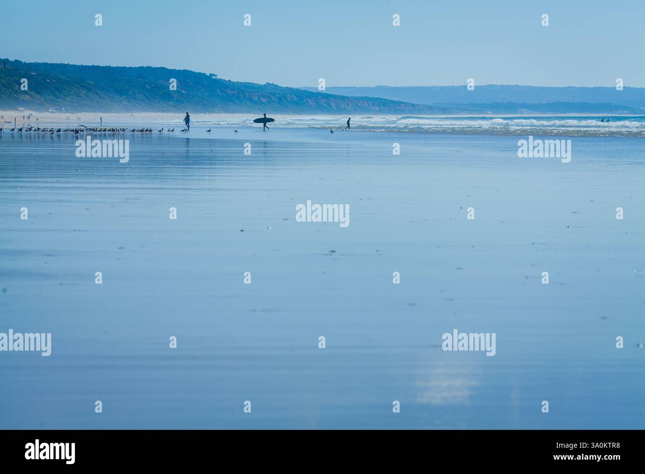 This image showcases a serene coastal scene with an expansive beach and ...