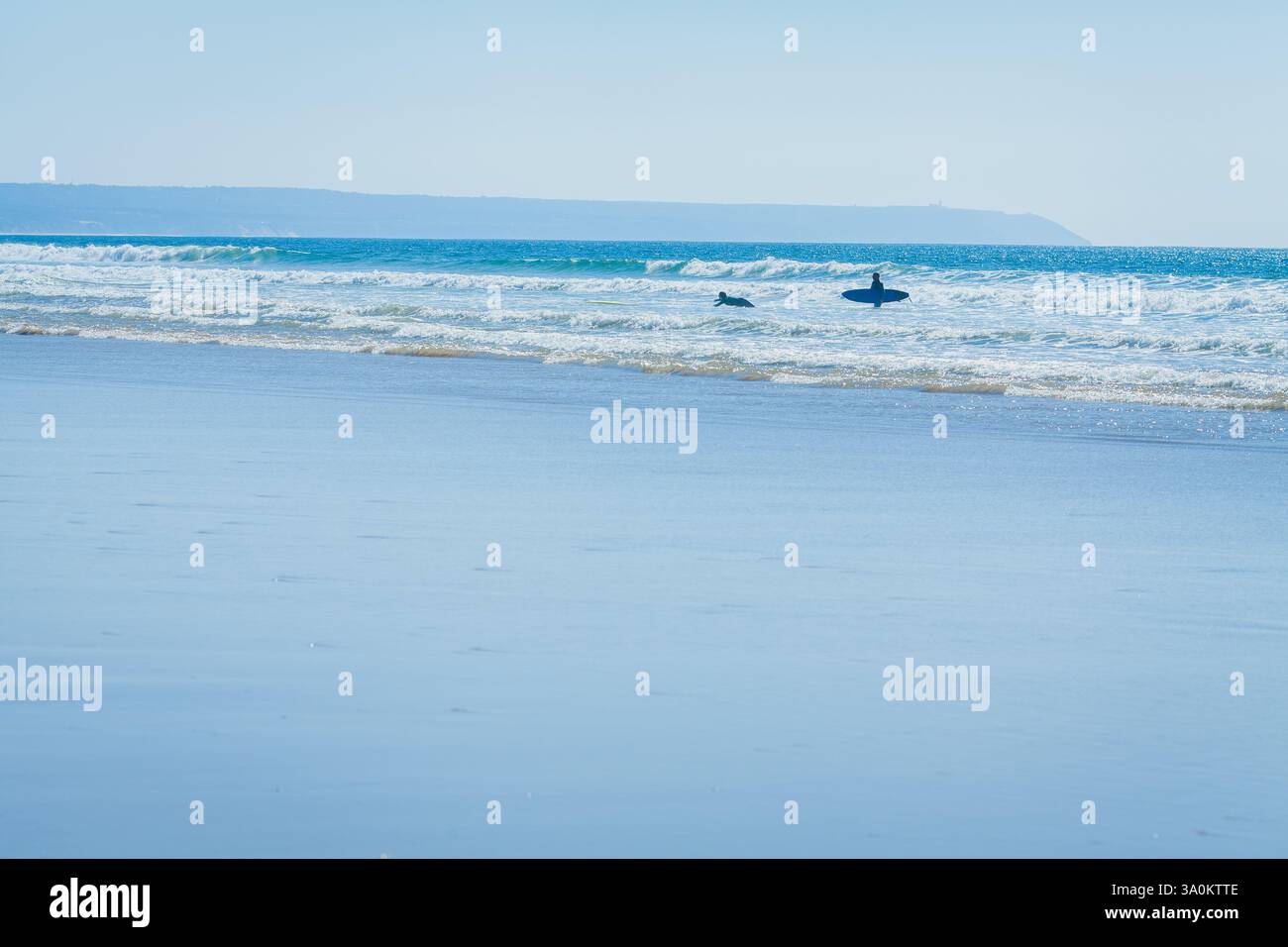 This serene coastal scene captures two surfers navigating the waves ...