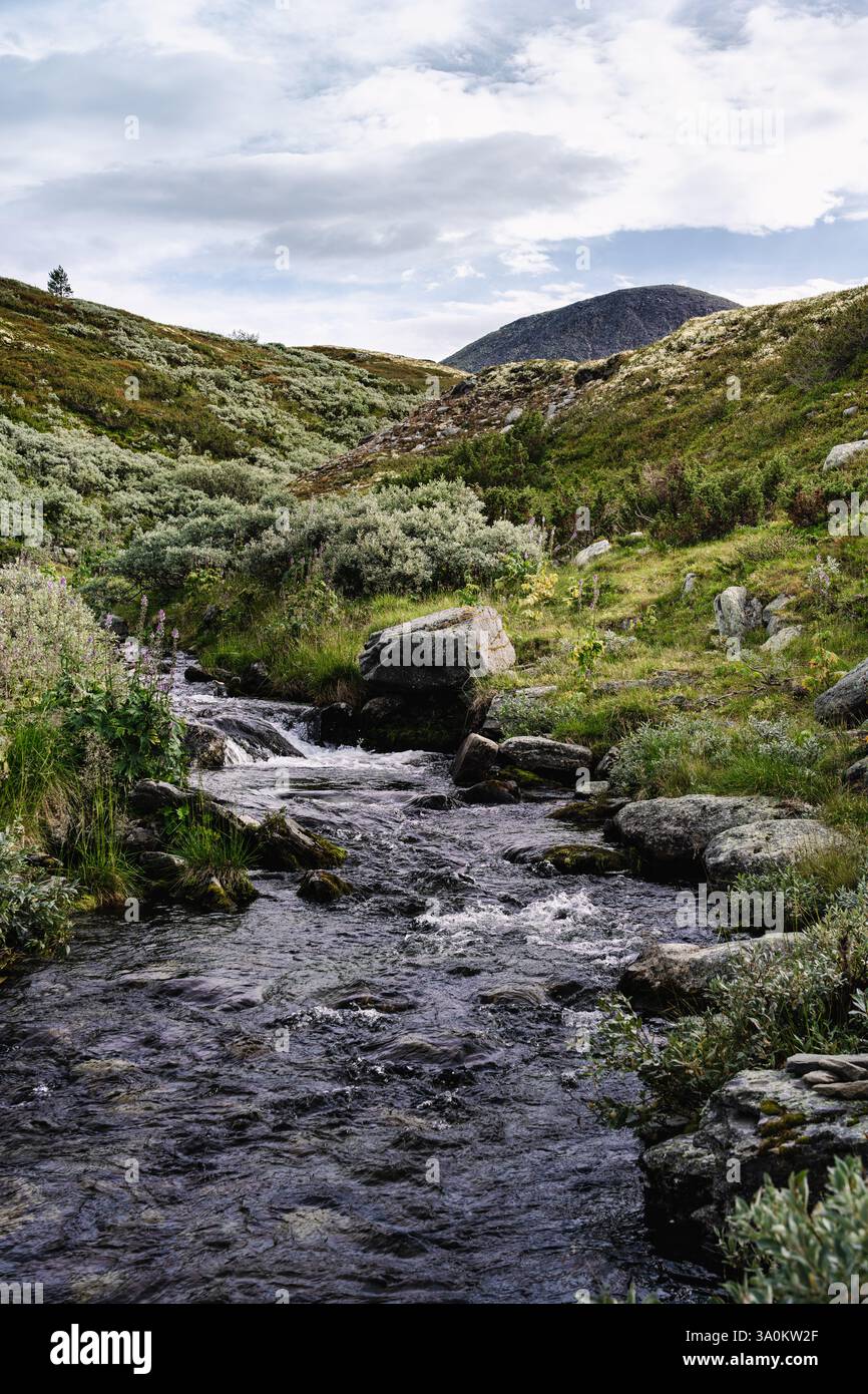Mountain stream meanders through the rugged tundra wilderness in ...