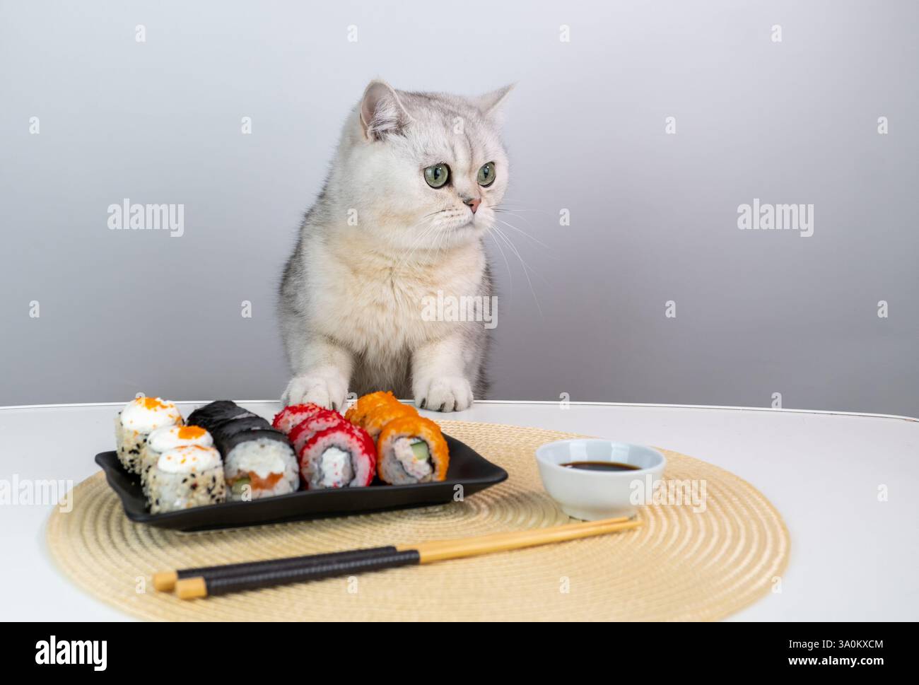 Cute grey cat sitting near sushi platter with soy sauce on mat Stock ...
