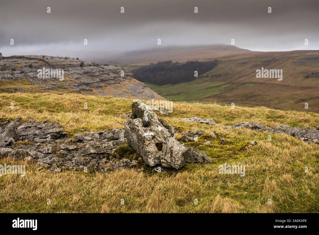 The Cheese Press Stone, and Gragareth all lie in the area of Kingsdale ...