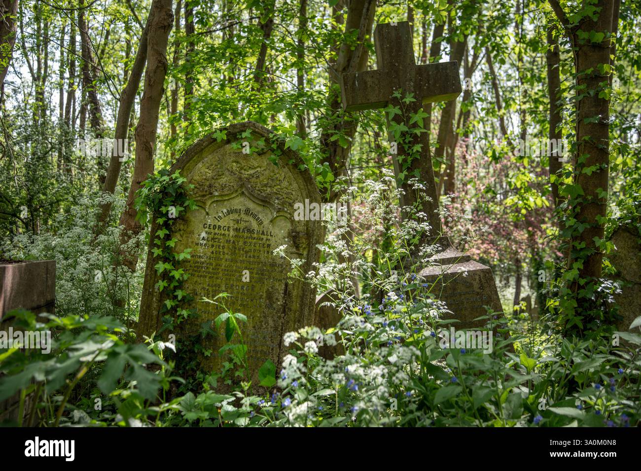 Headstone highgate cemetery hi-res stock photography and images - Alamy