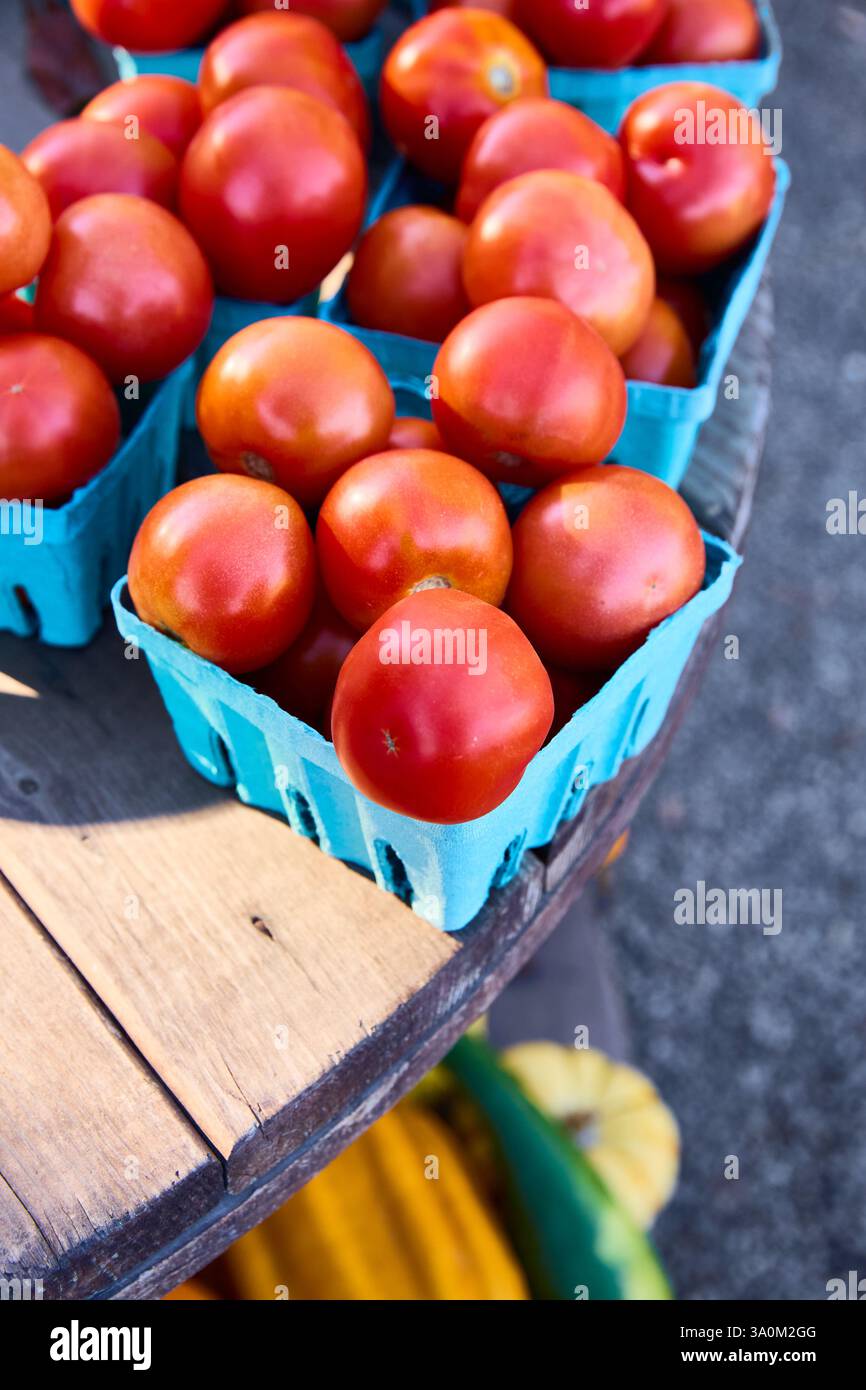 With basket and panniers hi-res stock photography and images - Alamy