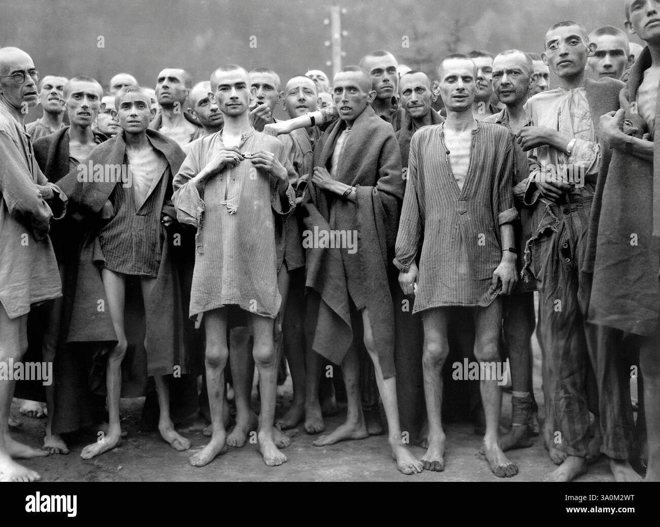 Nazi experiments hi-res stock photography and images - Alamy